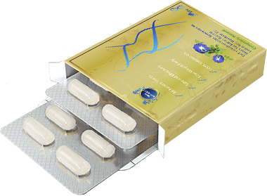 Mega Slim Body-Cân Bằng Cơ Thể Và Tâm Trí Của Bạn